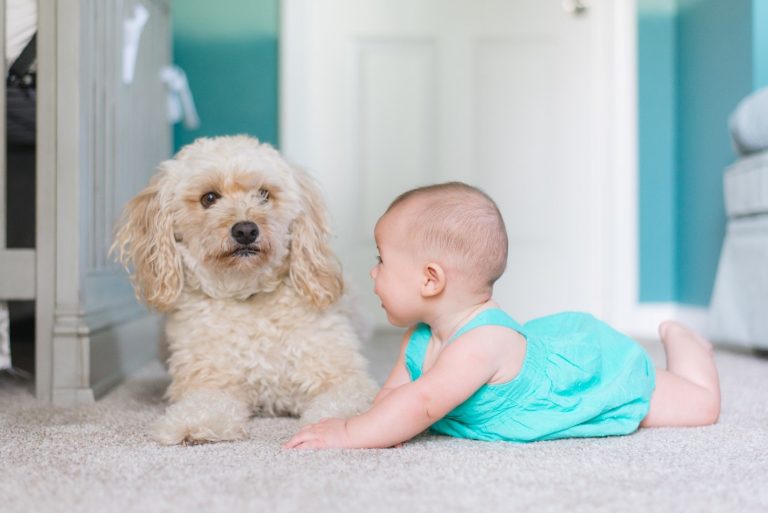 Ultimate Baby First Words List: 30 Most Common Words