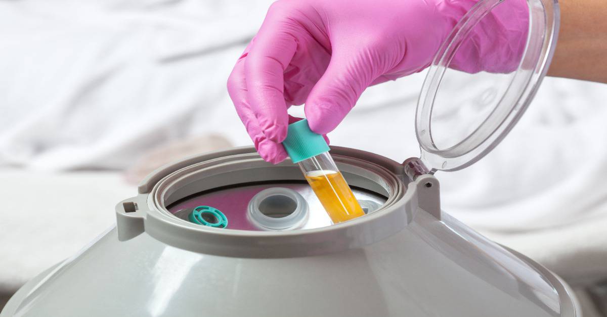 Can You Donate Plasma While Breastfeeding? 7 Things to Know