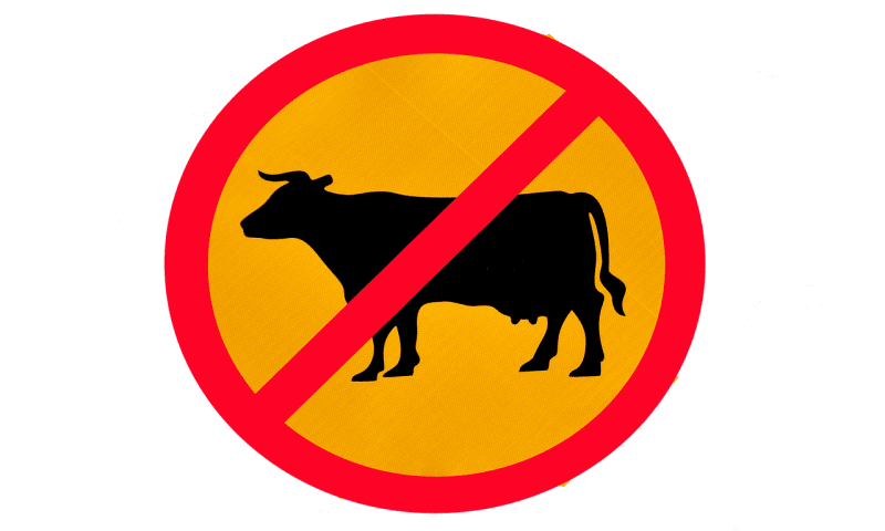 5 Reasons Why Baby Squirms and Cries While Bottle Feeding