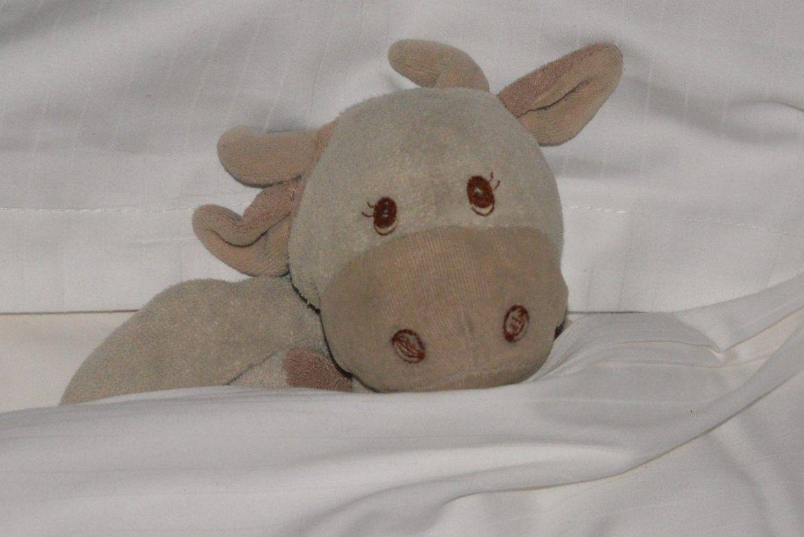 450 Adorable Stuffed Animal Names Creative Naming Ideas 450-adorable-stuffed-animal-names-creative-naming-ideas