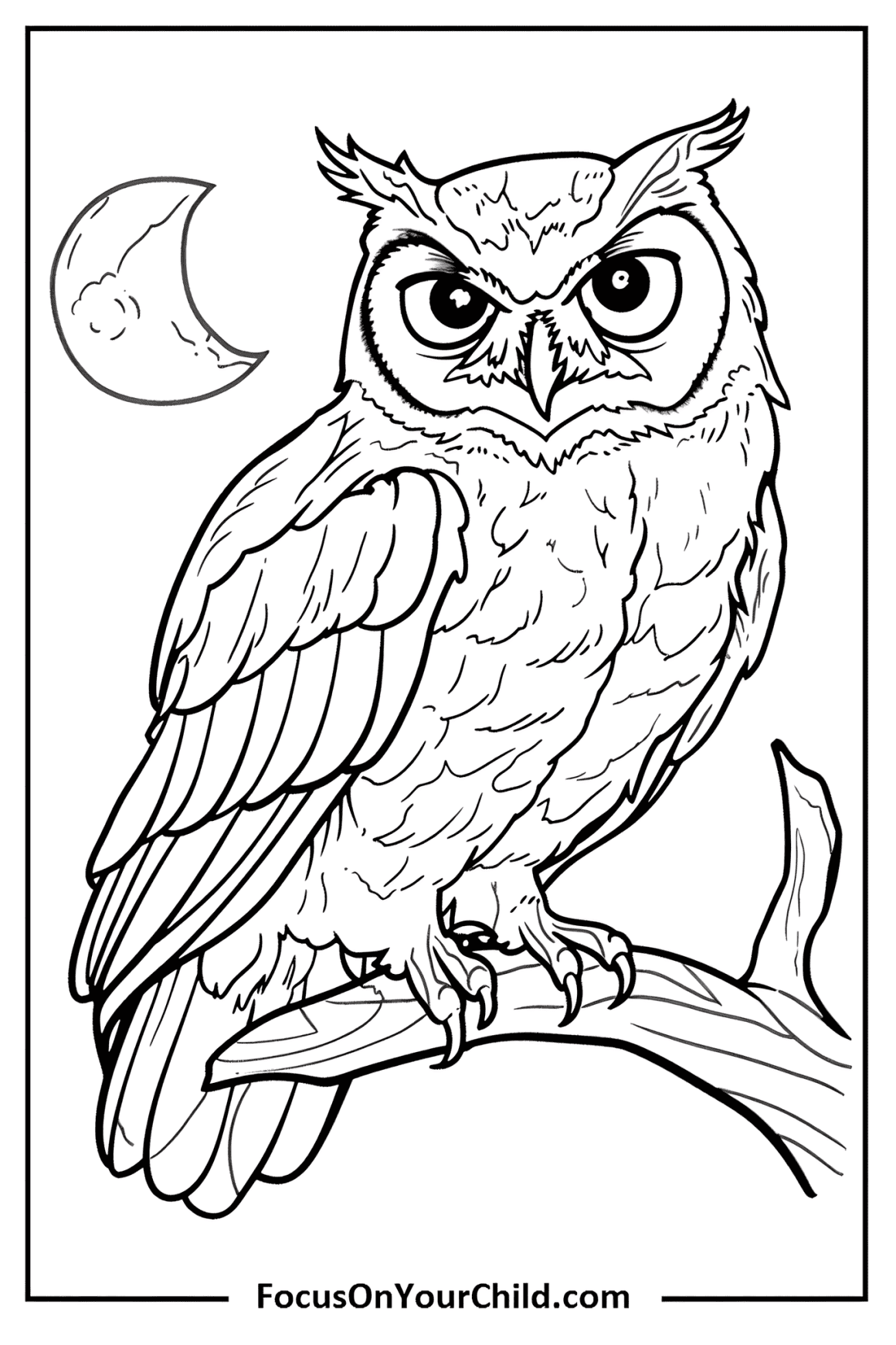 50+ Owl Coloring Pages (Free PDF Printables)