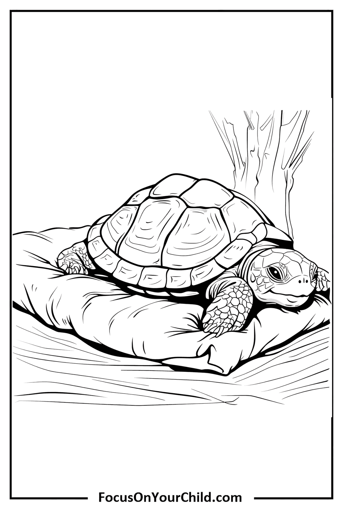 50+ Turtle Coloring Pages (Free PDF Printables)