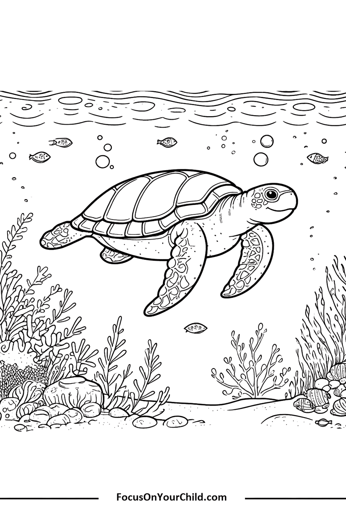 50+ Turtle Coloring Pages (Free PDF Printables)