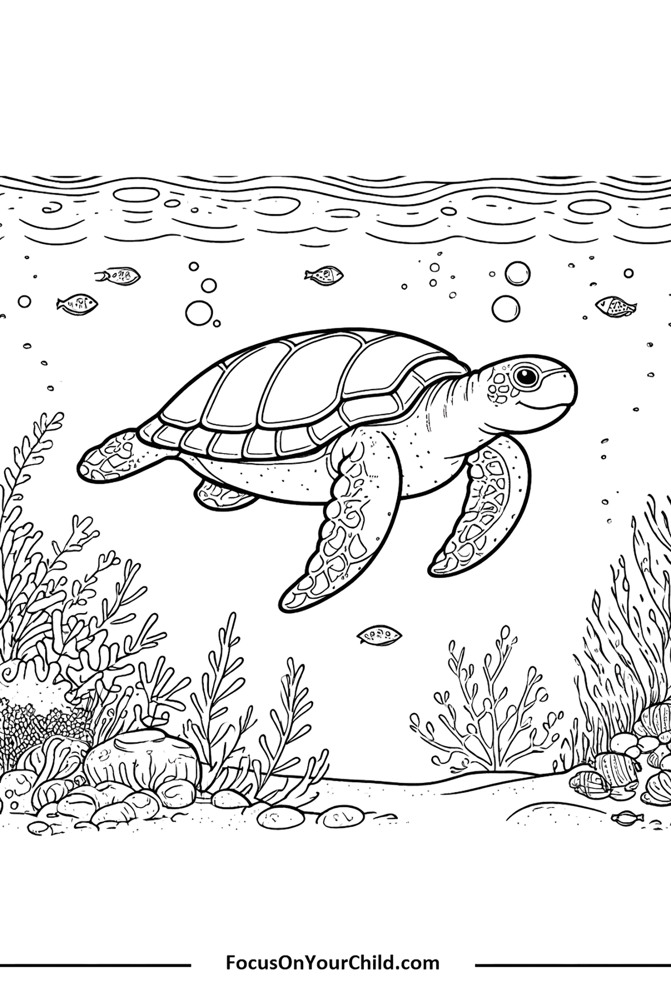 50+ Turtle Coloring Pages (Free PDF Printables)