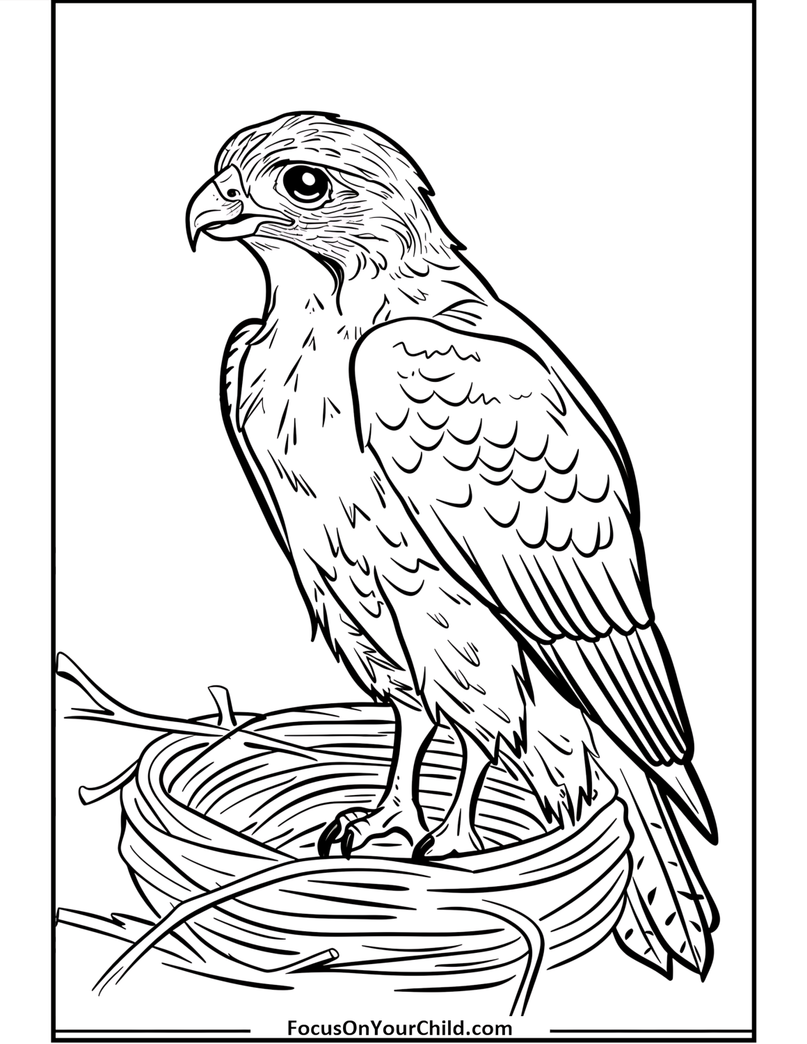 50+ Falcon Coloring Pages (Free PDF Printables)