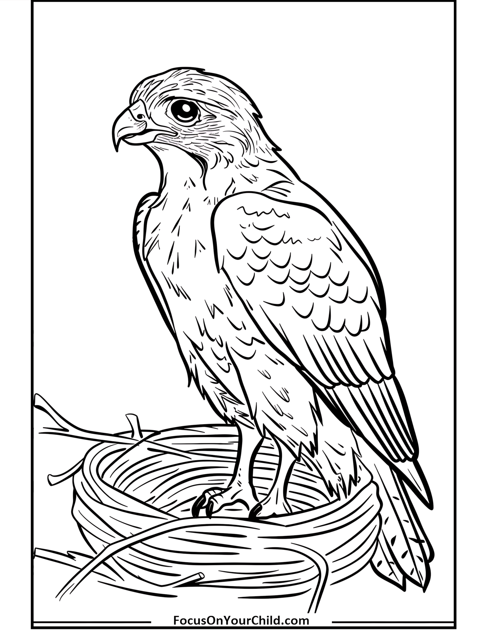 50+ Falcon Coloring Pages (Free PDF Printables)