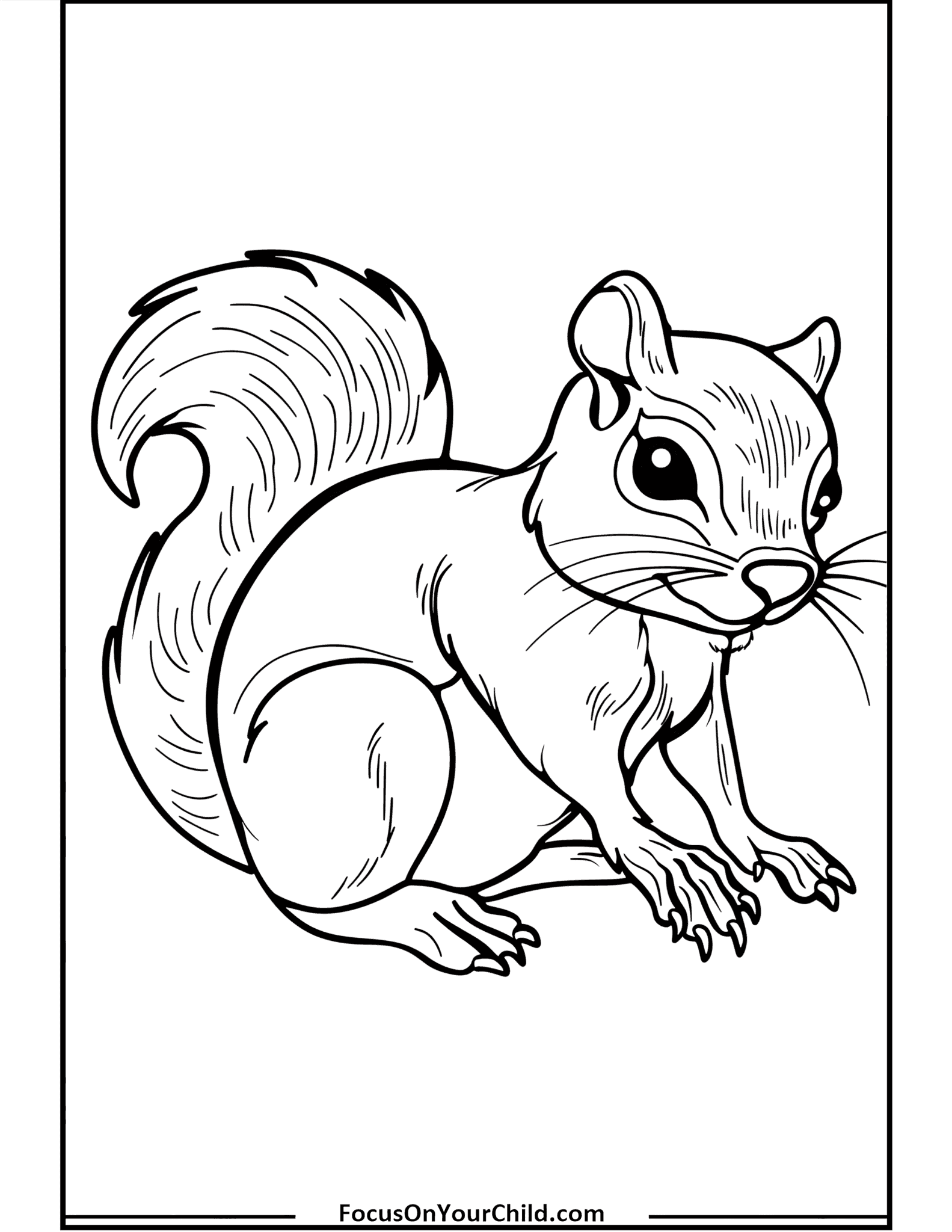 50+ Squirrel Coloring Pages (Free PDF Printables)