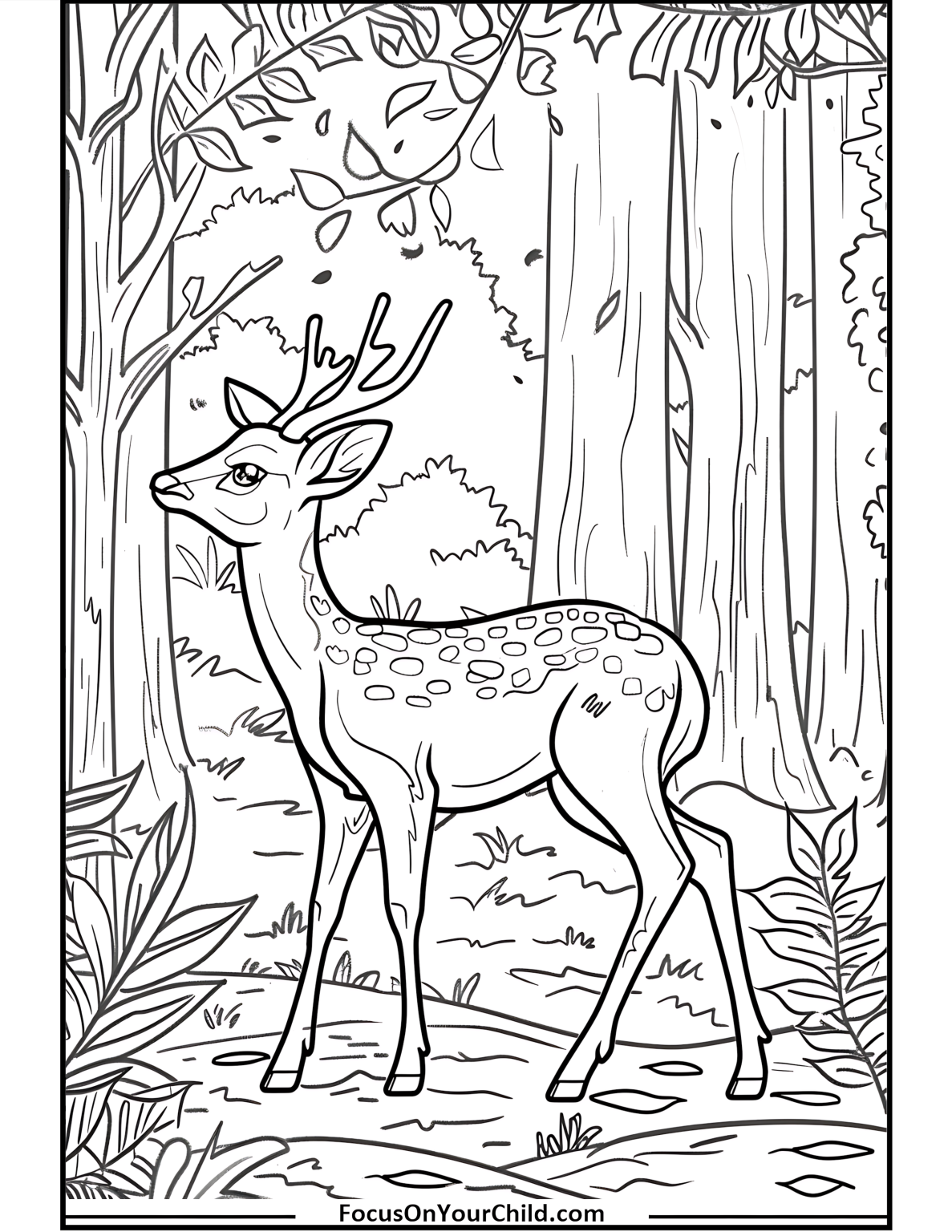 50+ Animal Coloring Pages (Free PDF Printables)