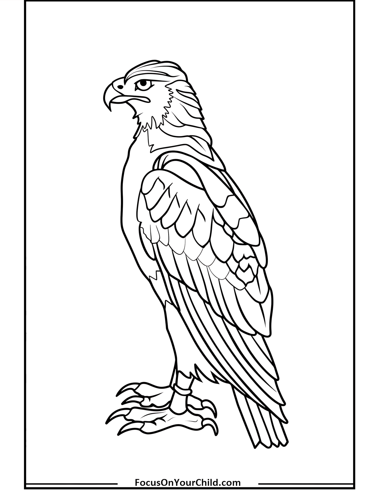50+ Hawk Coloring Pages (Free PDF Printables)