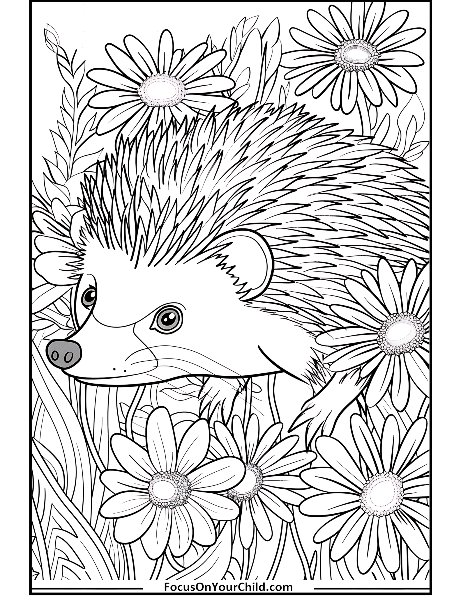 50+ Hedgehog Coloring Pages (Free PDF Printables)