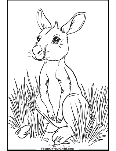 50+ Kangaroo Coloring Pages (Free PDF Printables)