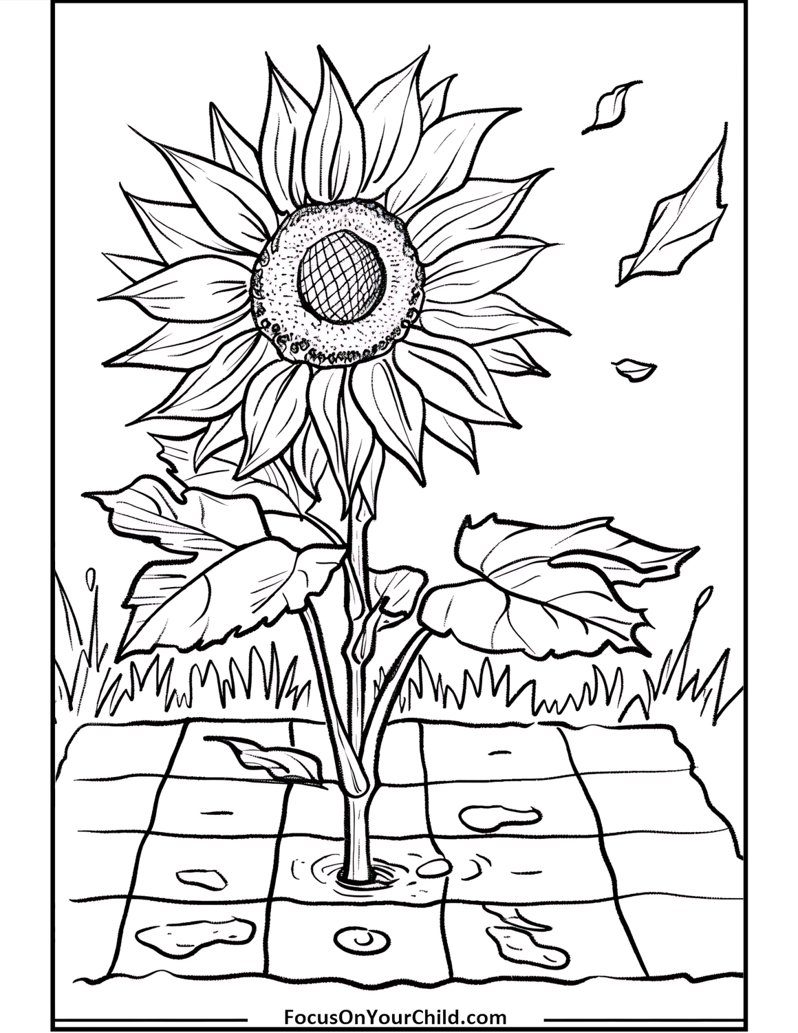 50+ Sunflower Coloring Pages (Free PDF Printables)