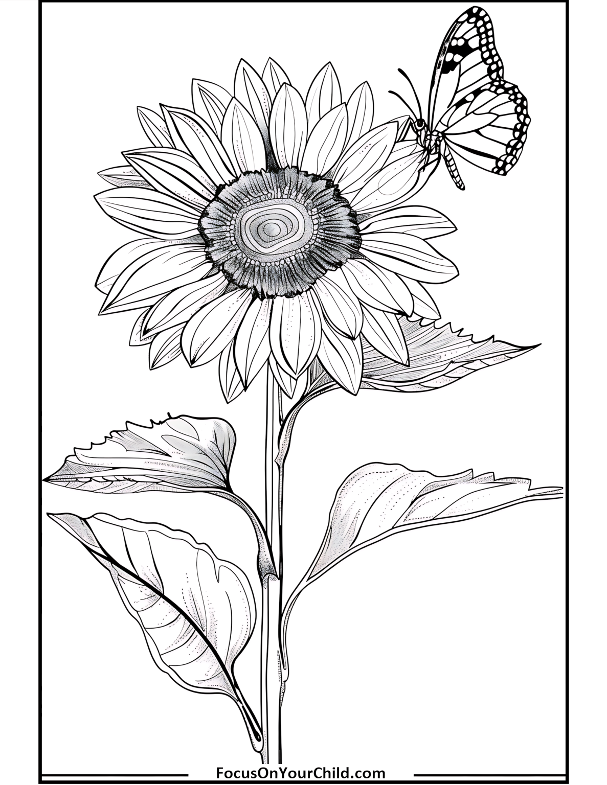 50+ Sunflower Coloring Pages (Free PDF Printables)