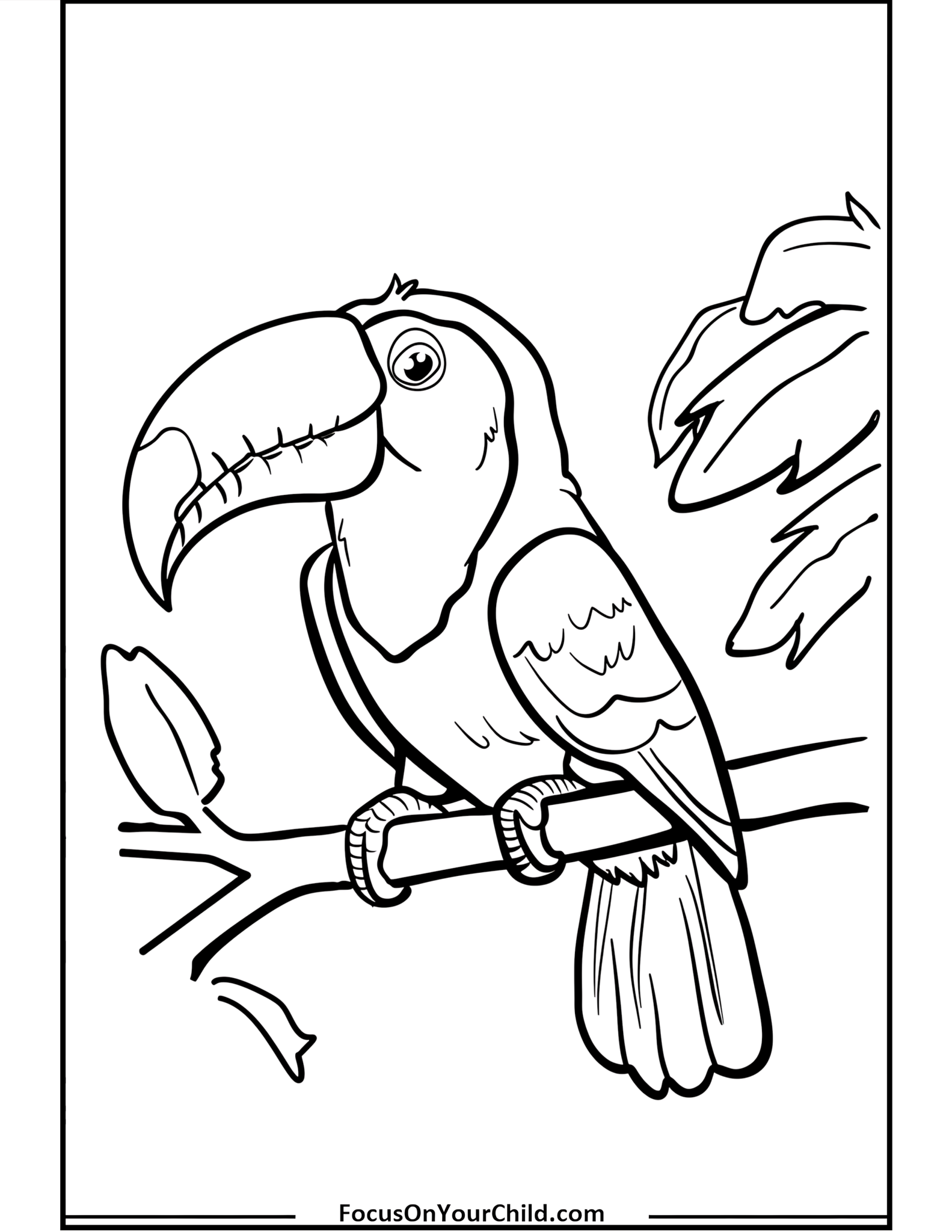 50+ Toucan Coloring Pages (Free PDF Printables)