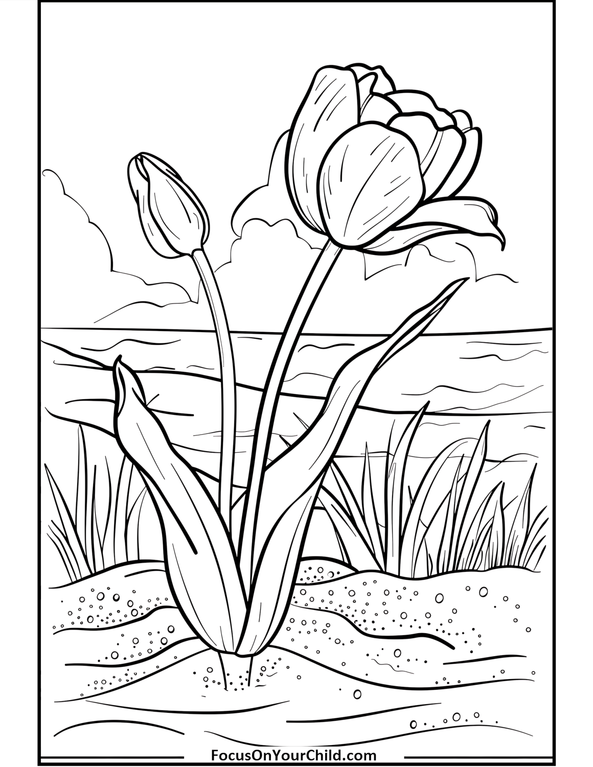 50+ Tulip Coloring Pages (Free PDF Printables)