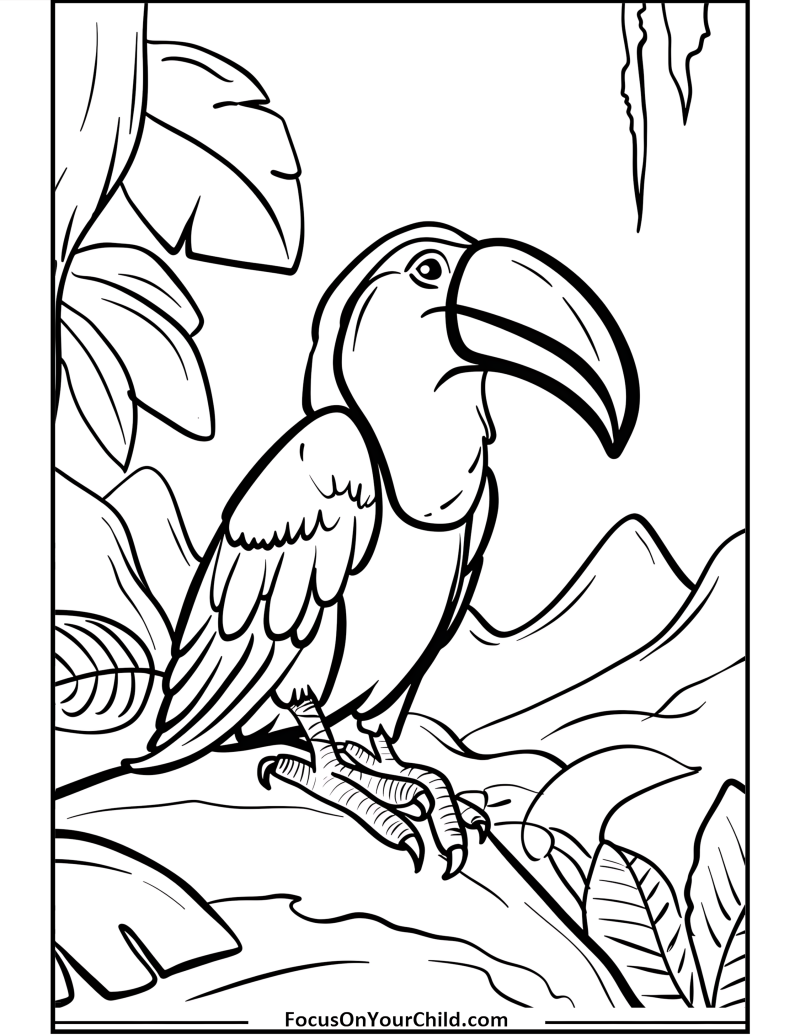 Creative Toucan Coloring Pages for Kids