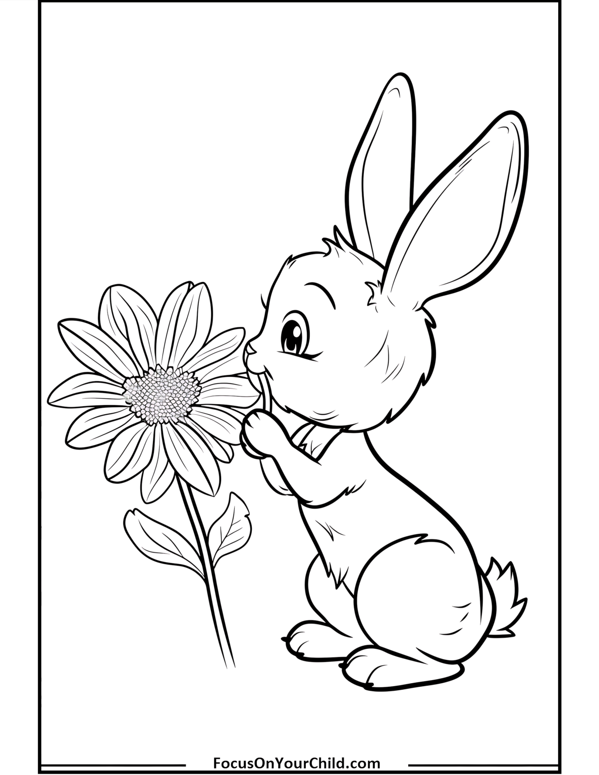 50+ Daisy Coloring Pages (Free PDF Printables)